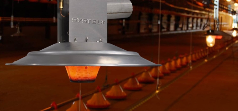 SYSTEL - Utiliser une GED pour limiter son empreinte carbone